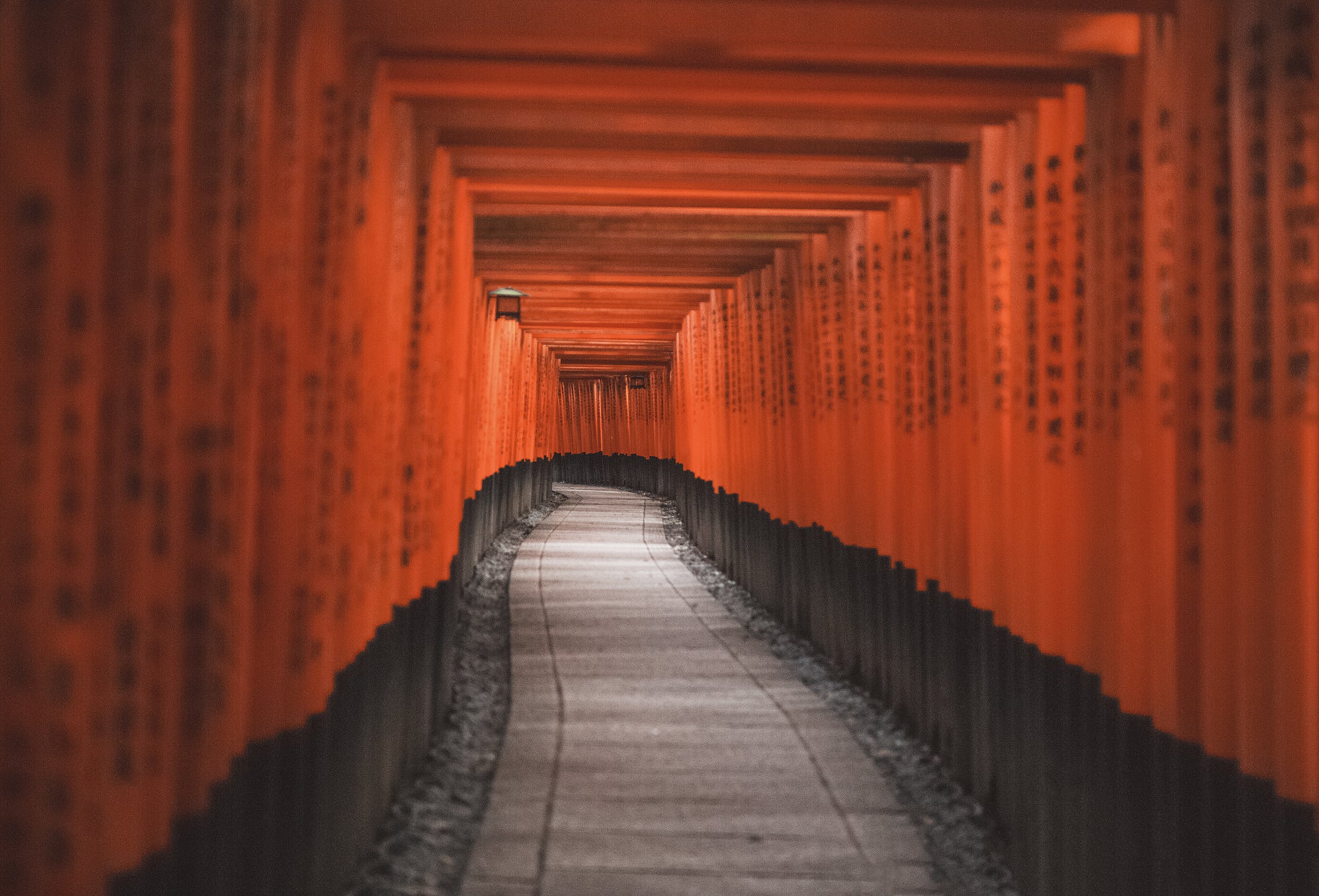 The Vibrant Red of Japanese Culture: Symbol of Protection, Strength, a ...