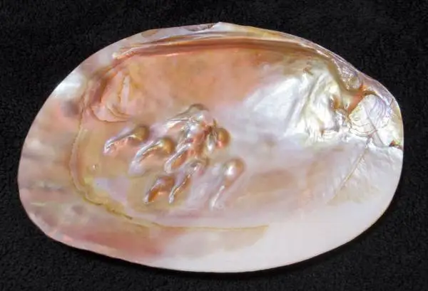 About Us - Biwako Jewels – BIWAKO Jewelry